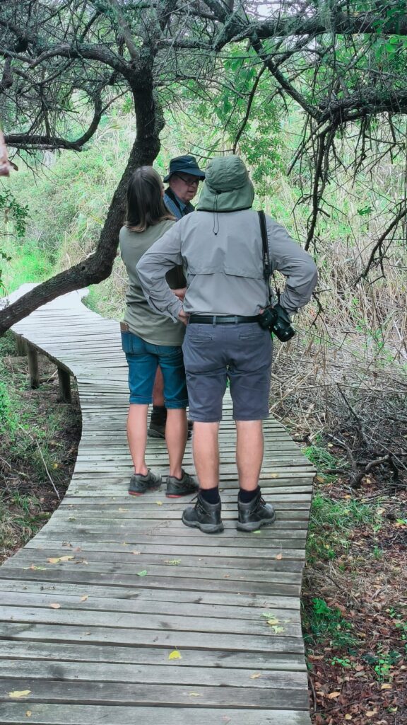 Cape Dune Mole Rat Trail – Birding – Outdoor Heartbeat