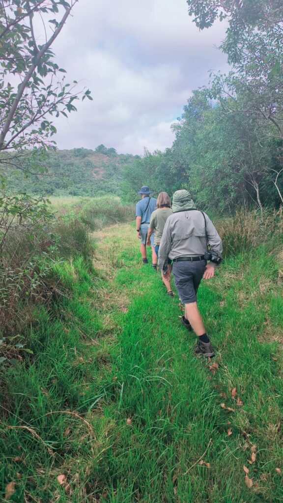 Cape Dune Mole Rat Trail – Birding – Outdoor Heartbeat